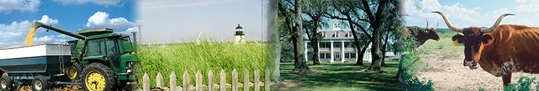 Locations - Central Insurance Companies